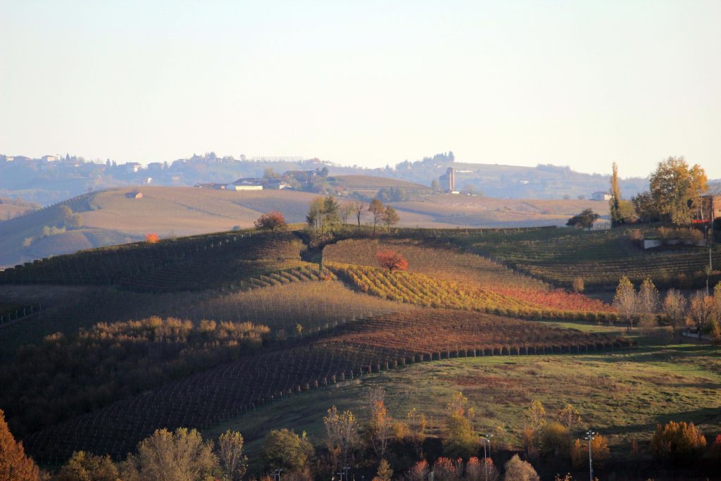 Exploring the Langhe wine region in Piemonte - My Italian Diaries